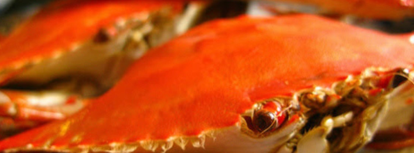 Martin's Seafood in Hampton, VA 23661