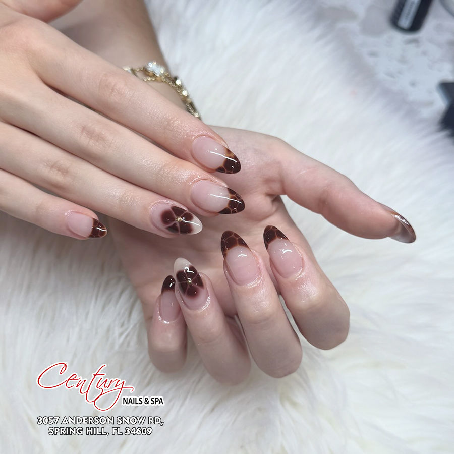 Century Nails in Spring Hill, FL 34609
